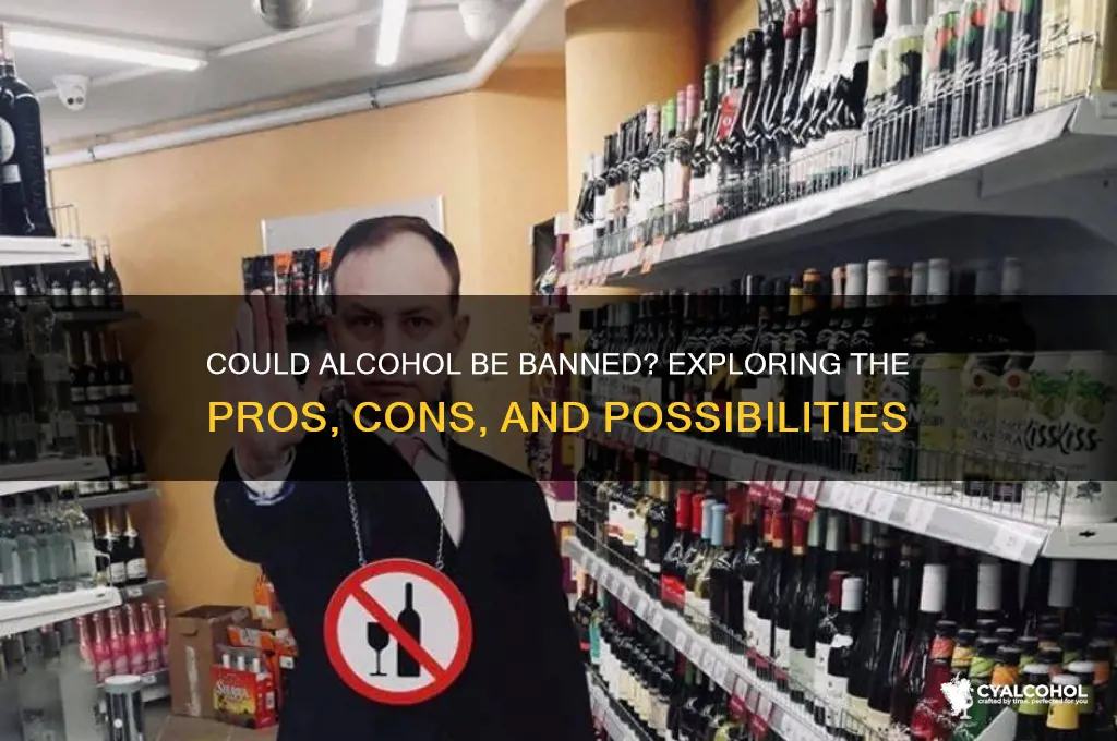 Could Alcohol Be Banned? Exploring The Pros, Cons, And Possibilities ...