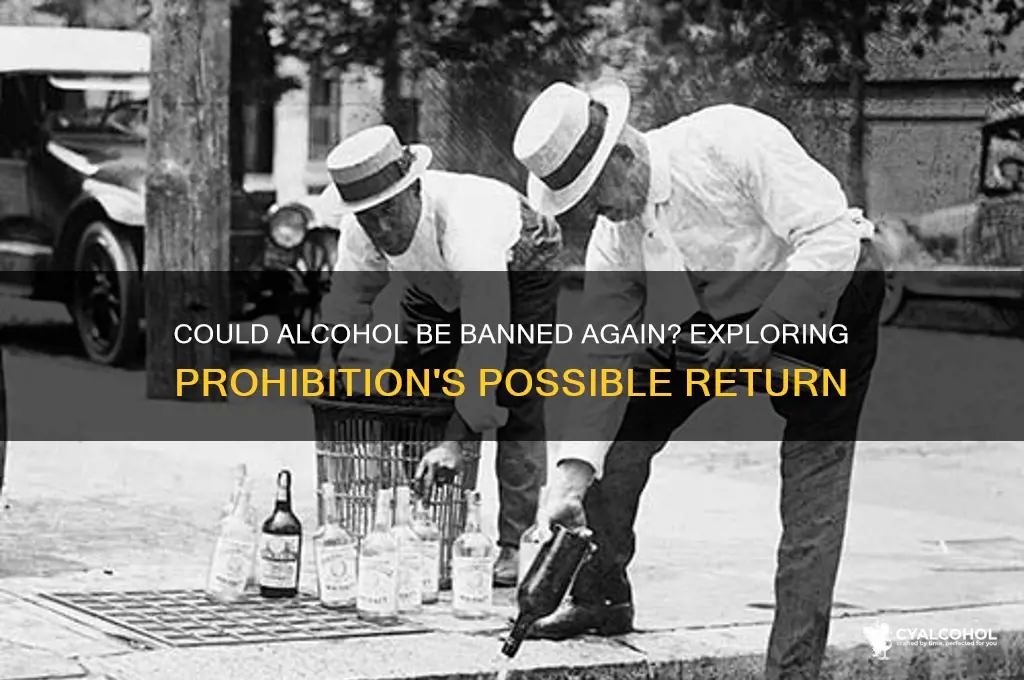 Could Alcohol Be Banned Again? Exploring Prohibition's Possible Return ...
