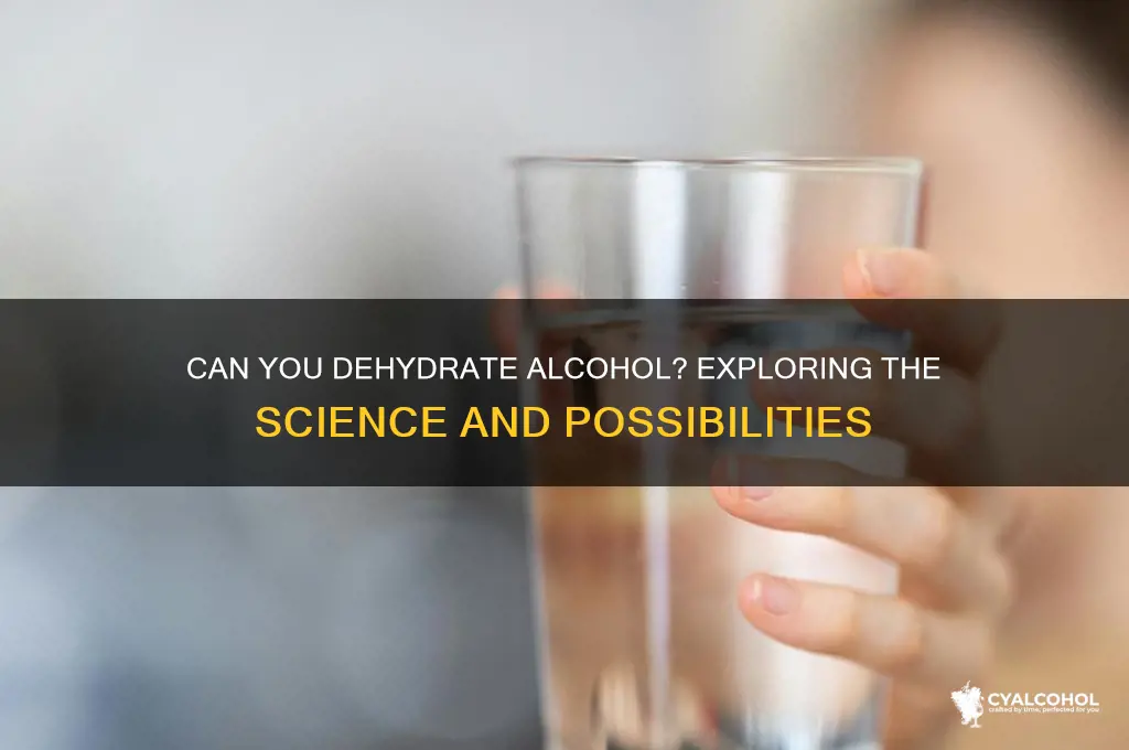 Can You Dehydrate Alcohol? Exploring The Science And Possibilities ...