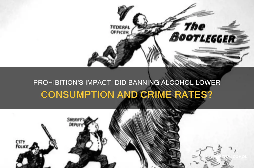 Prohibition's Impact: Did Banning Alcohol Lower Consumption And Crime ...