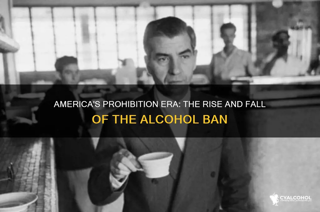 America's Prohibition Era: The Rise And Fall Of The Alcohol Ban | CyAlcohol