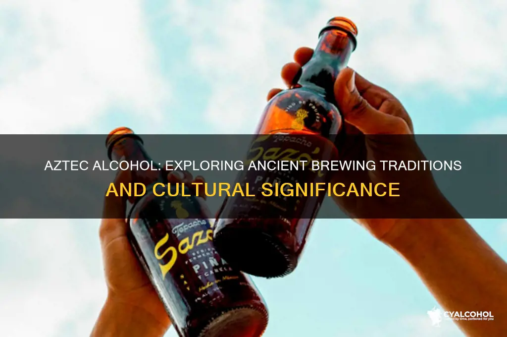 Aztec Alcohol: Exploring Ancient Brewing Traditions And Cultural ...