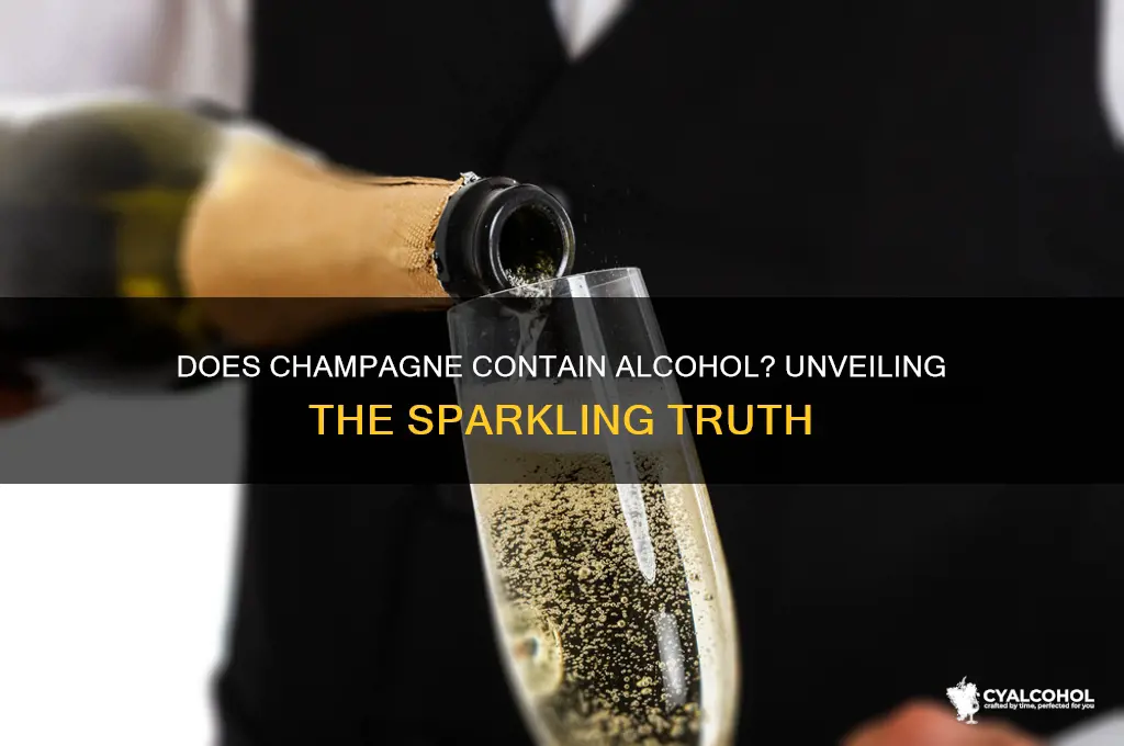 Does Champagne Contain Alcohol? Unveiling The Sparkling Truth | CyAlcohol