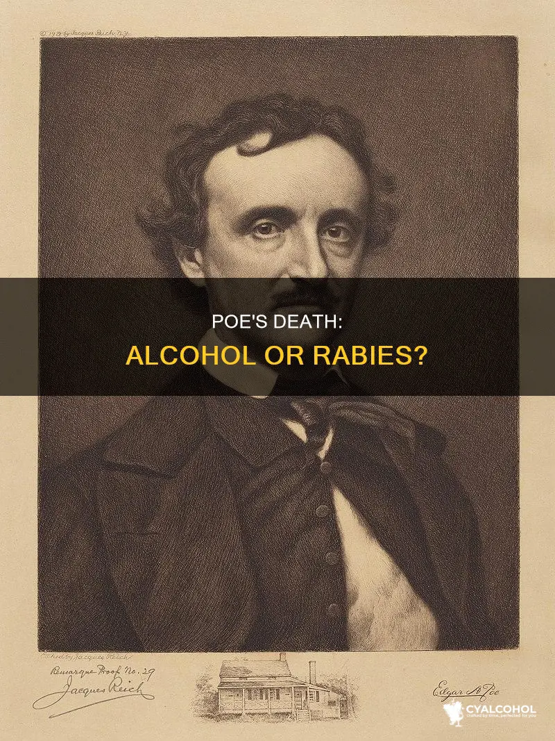 Poe's Death: Alcohol Or Rabies? | CyAlcohol