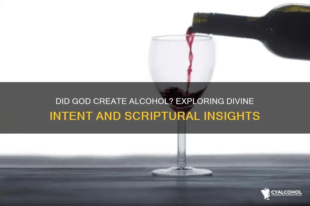 Did God Create Alcohol? Exploring Divine Intent And Scriptural Insights ...