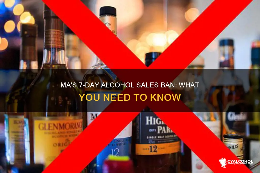 Ma's 7-Day Alcohol Sales Ban: What You Need To Know | CyAlcohol