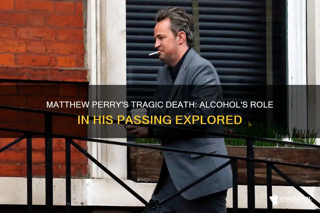 Matthew Perry's Tragic Death: Alcohol's Role In His Passing Explored ...