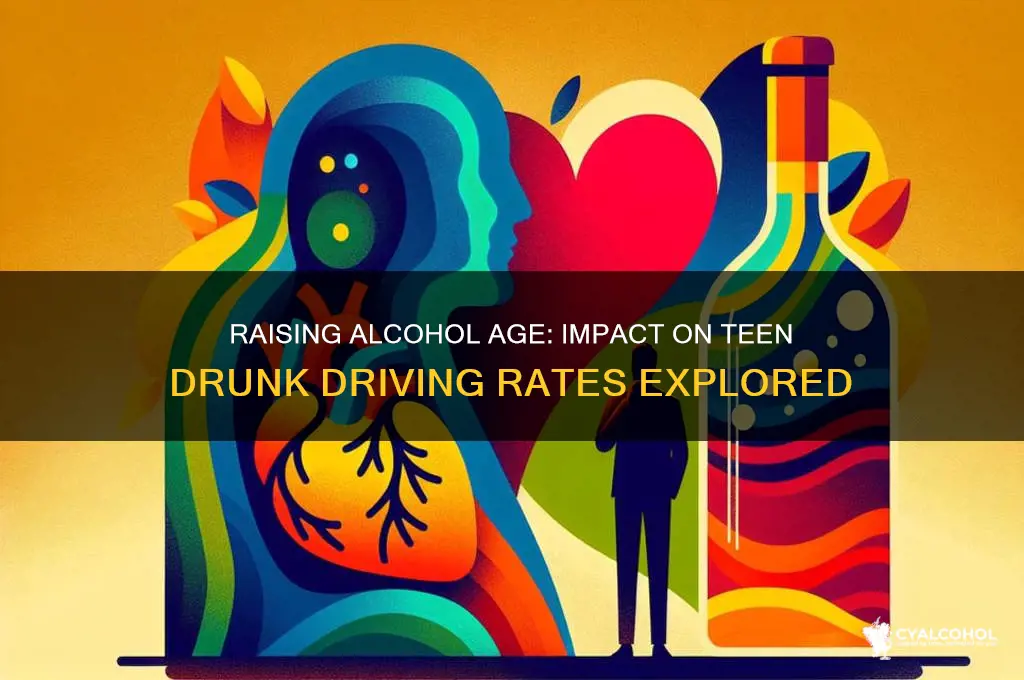 Raising Alcohol Age: Impact On Teen Drunk Driving Rates Explored ...