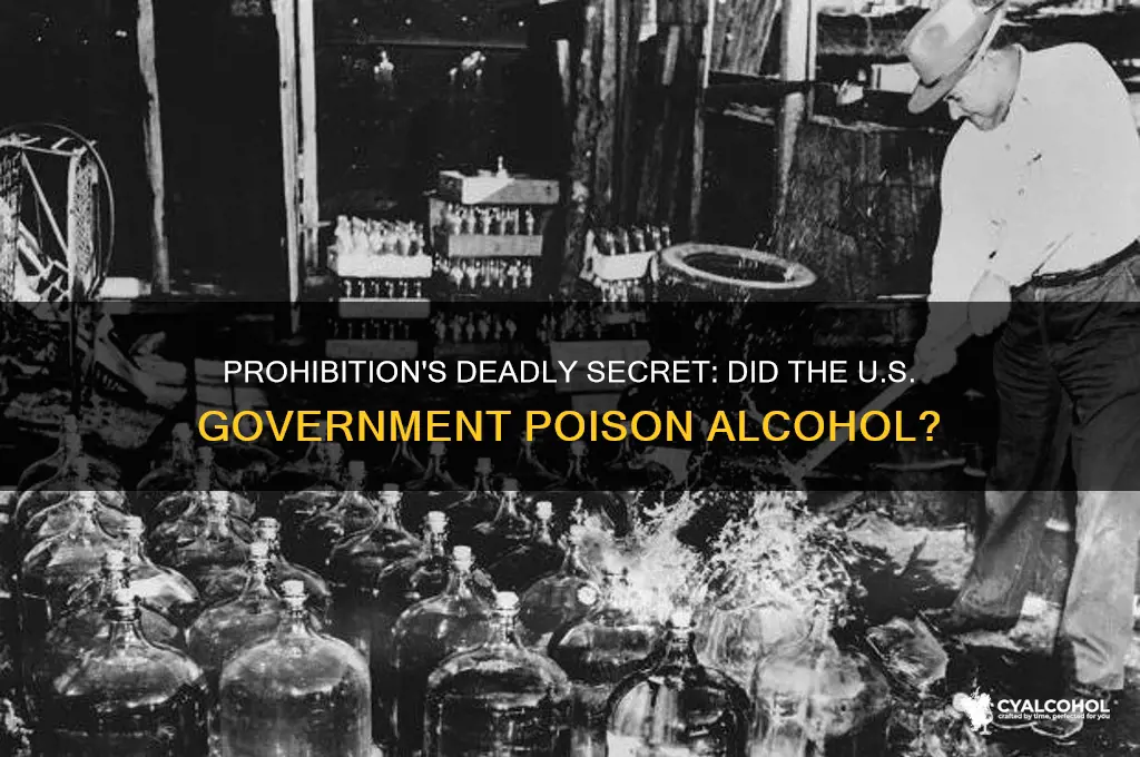 Prohibition's Deadly Secret: Did The U.S. Government Poison Alcohol ...