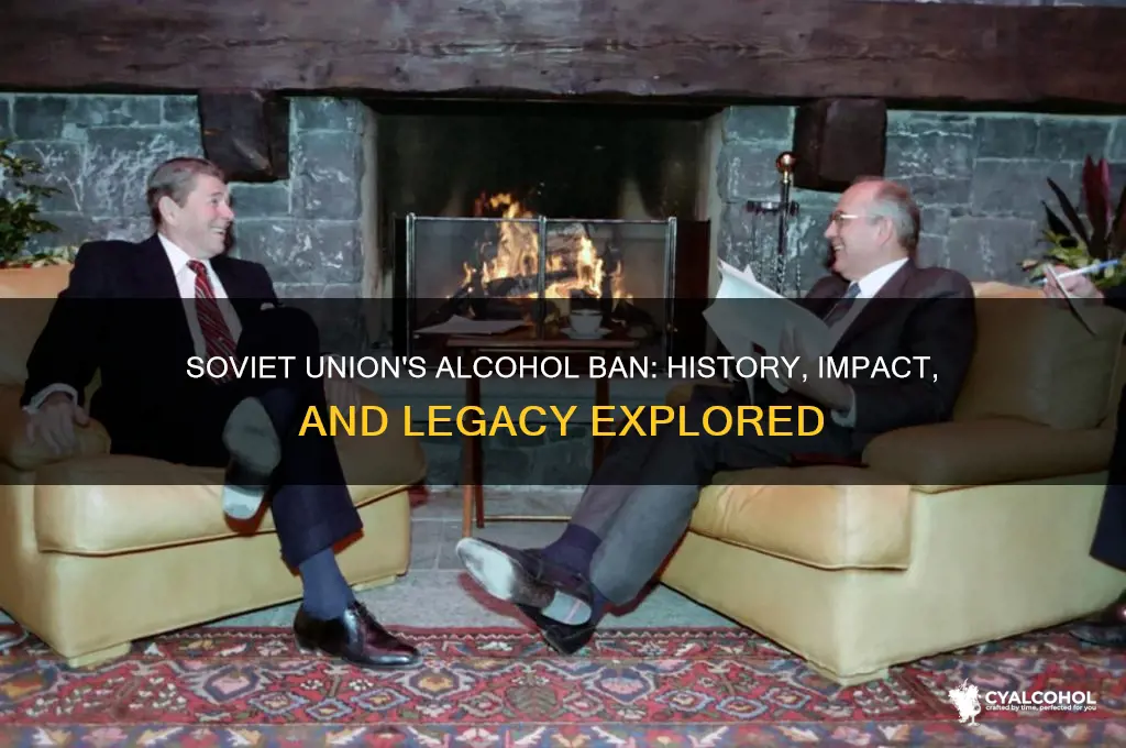 Soviet Union's Alcohol Ban: History, Impact, And Legacy Explored ...