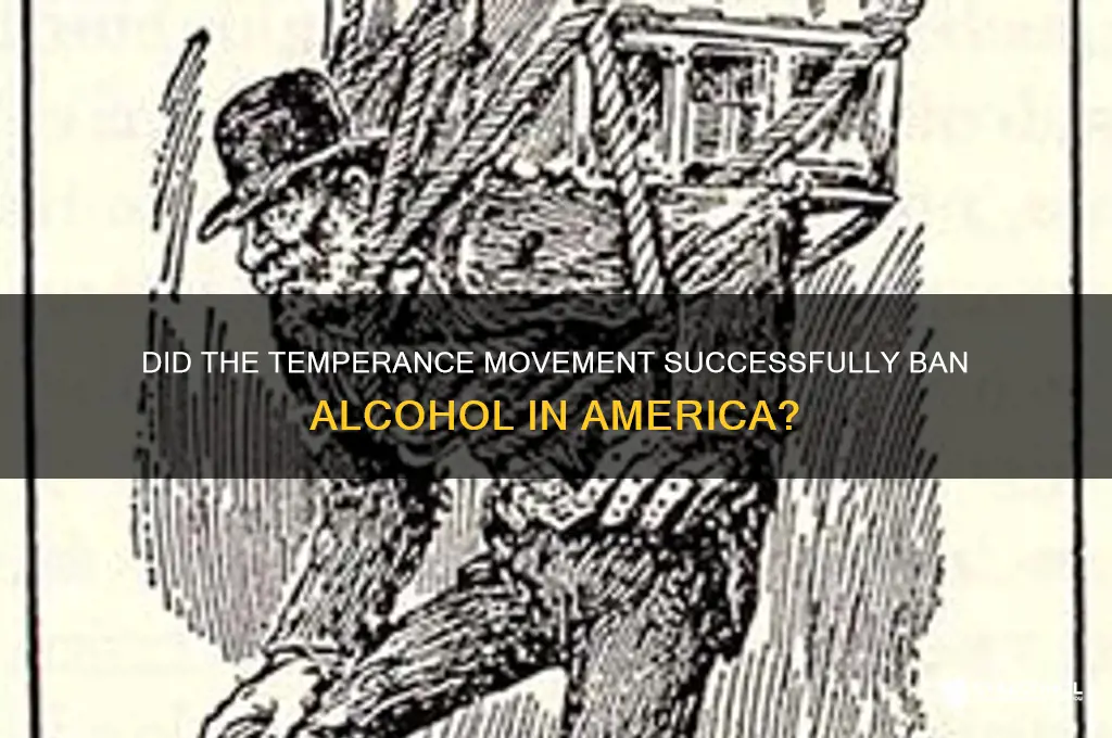 Did The Temperance Movement Successfully Ban Alcohol In America ...