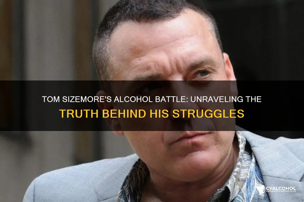 Tom Sizemore's Alcohol Battle: Unraveling The Truth Behind His ...