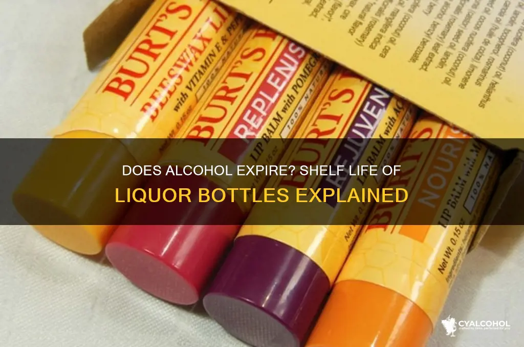 Does Alcohol Expire? Shelf Life Of Liquor Bottles Explained | CyAlcohol