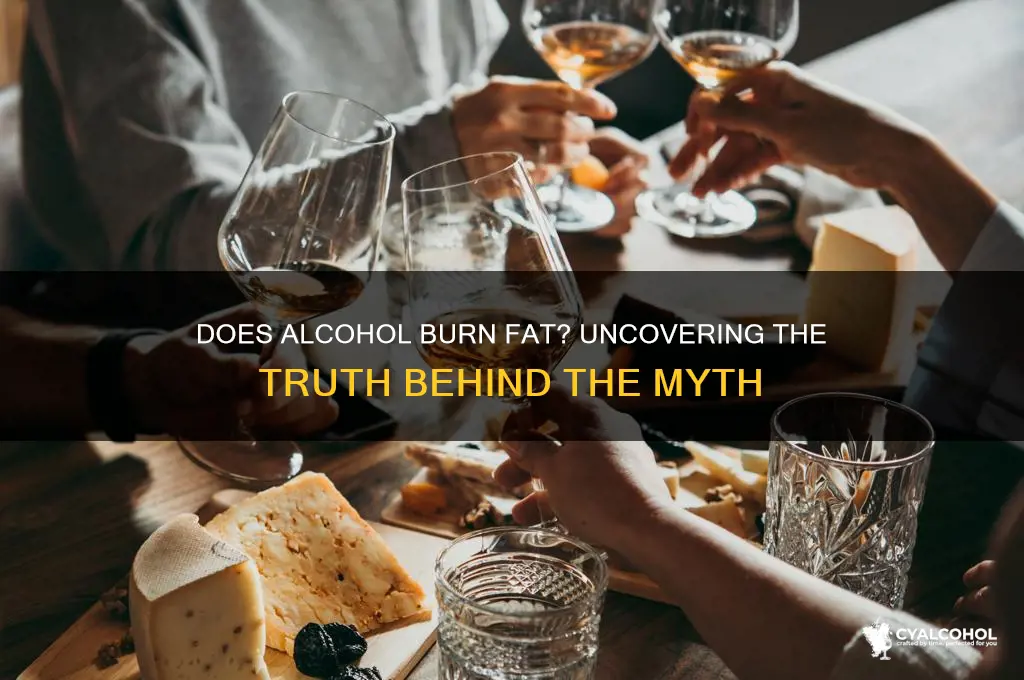 Does Alcohol Burn Fat? Uncovering The Truth Behind The Myth | CyAlcohol