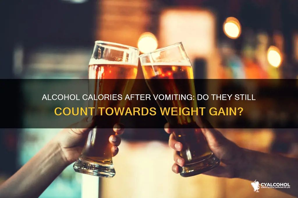 Alcohol Calories After Vomiting: Do They Still Count Towards Weight ...