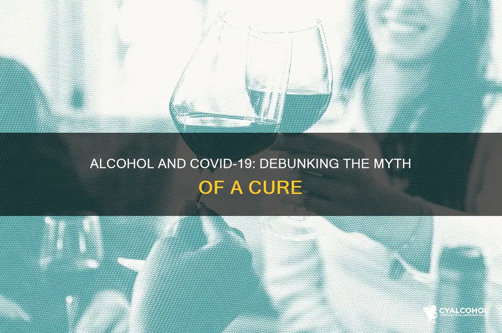 Alcohol And Covid-19: Debunking The Myth Of A Cure | CyAlcohol