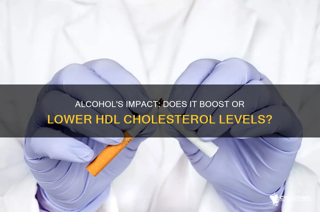 Alcohol's Impact: Does It Boost Or Lower Hdl Cholesterol Levels ...