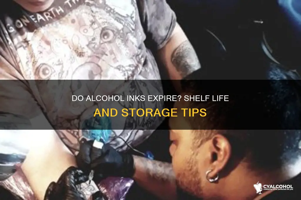 Do Alcohol Inks Expire? Shelf Life And Storage Tips | CyAlcohol