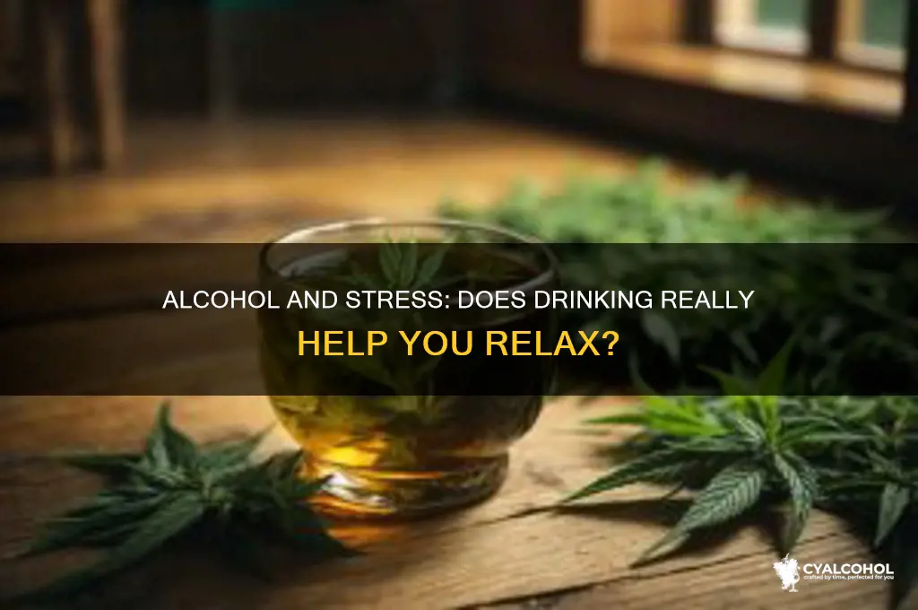Alcohol And Stress: Does Drinking Really Help You Relax? | CyAlcohol