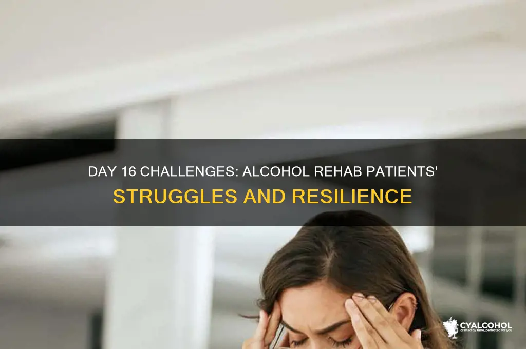 Day 16 Challenges: Alcohol Rehab Patients' Struggles And Resilience ...