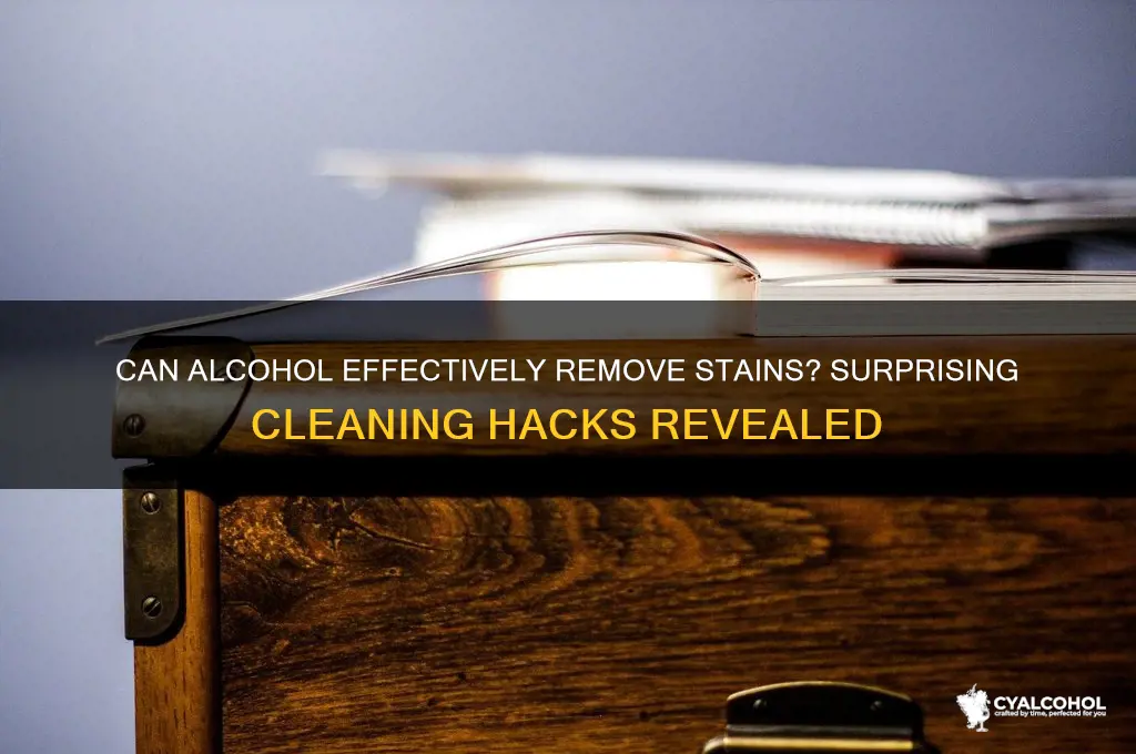 Can Alcohol Effectively Remove Stains? Surprising Cleaning Hacks ...