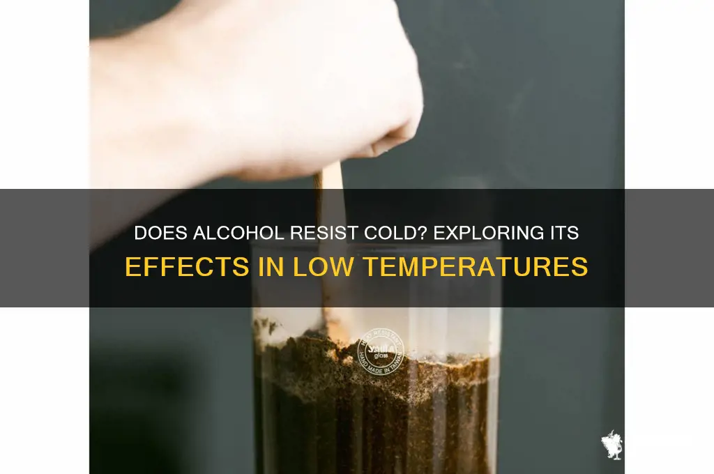 Does Alcohol Resist Cold? Exploring Its Effects In Low Temperatures ...