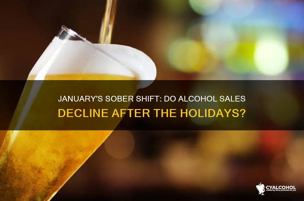 January's Sober Shift: Do Alcohol Sales Decline After The Holidays ...