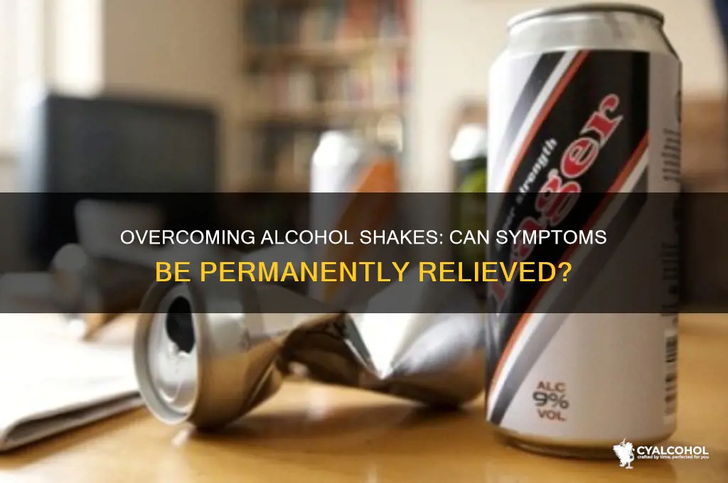 Overcoming Alcohol Shakes: Can Symptoms Be Permanently Relieved ...