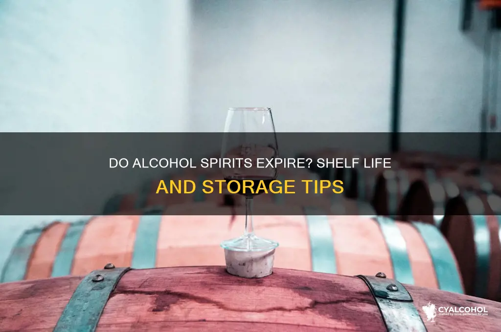 Do Alcohol Spirits Expire? Shelf Life And Storage Tips | CyAlcohol