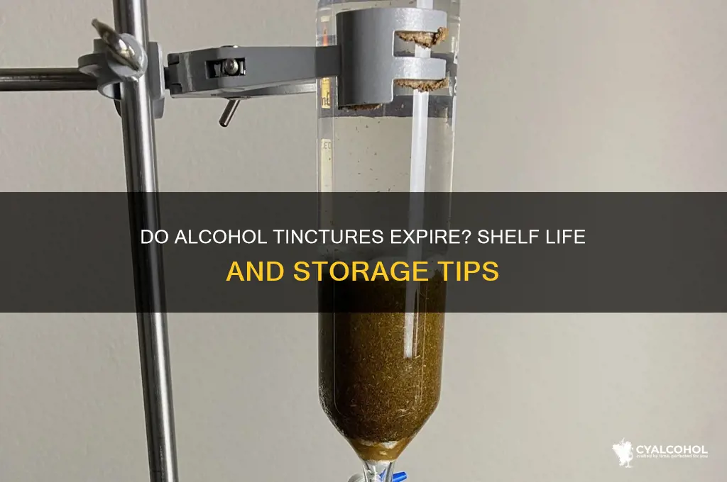 Do Alcohol Tinctures Expire? Shelf Life And Storage Tips | CyAlcohol