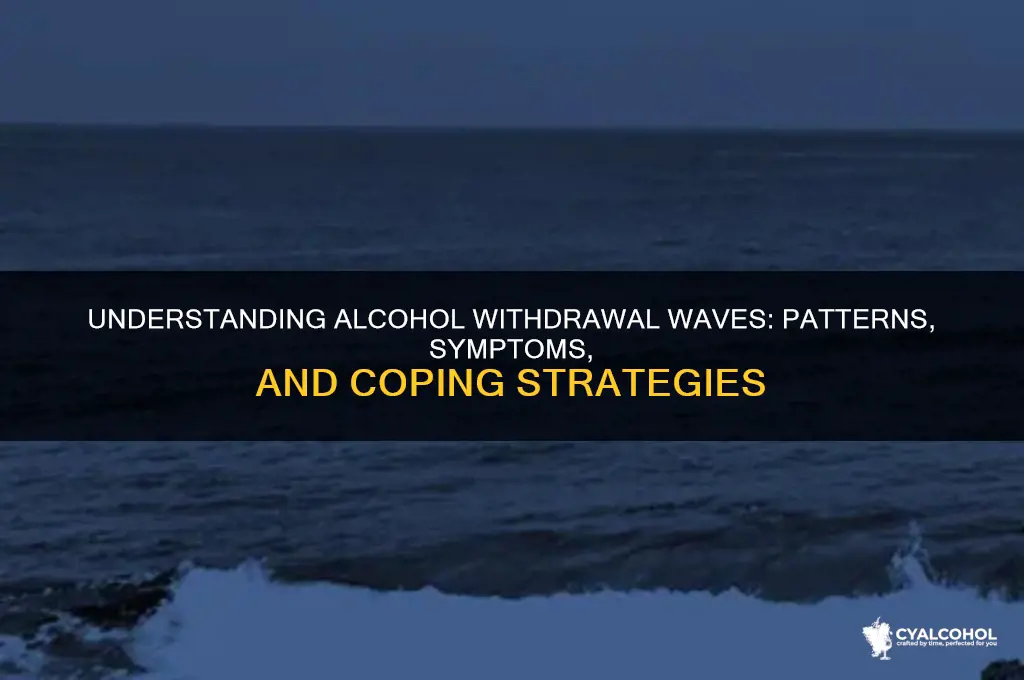 Understanding Alcohol Withdrawal Waves: Patterns, Symptoms, And Coping ...
