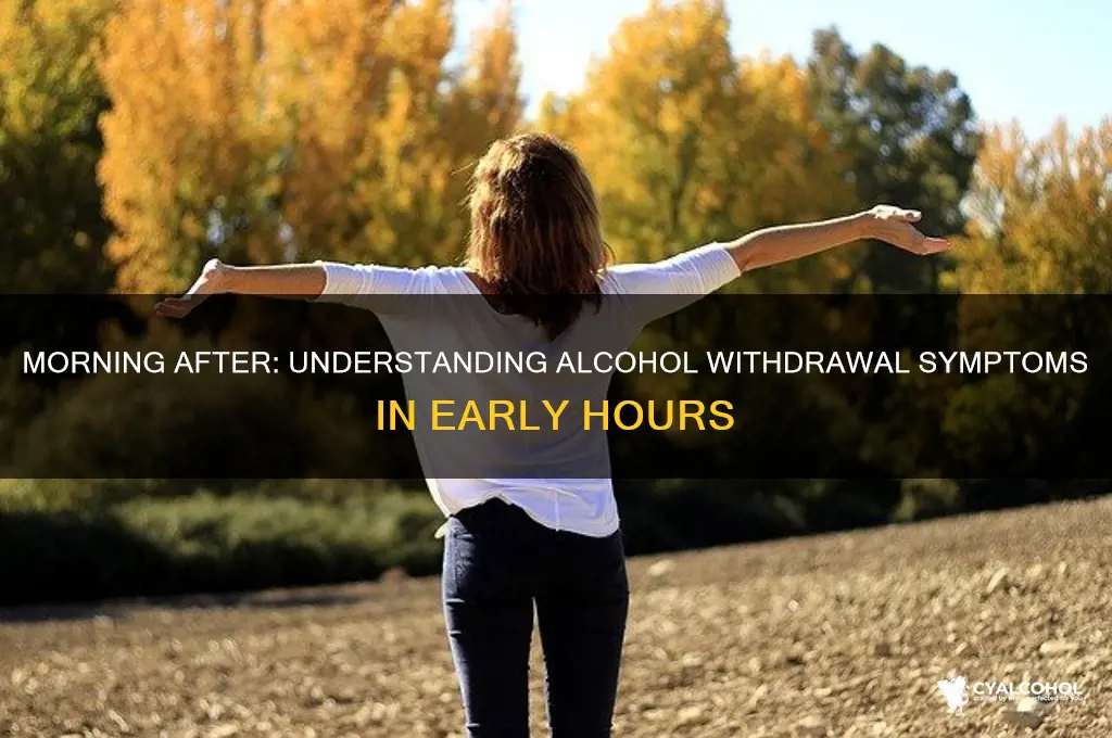 Morning After: Understanding Alcohol Withdrawal Symptoms In Early Hours ...