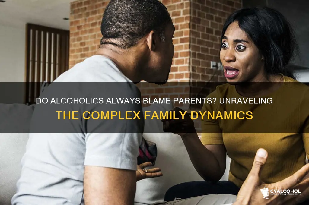 Do Alcoholics Always Blame Parents? Unraveling The Complex Family ...