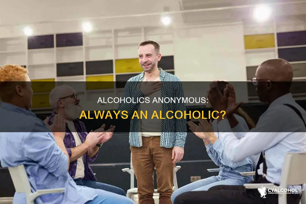 Alcoholics Anonymous: Always An Alcoholic? | CyAlcohol