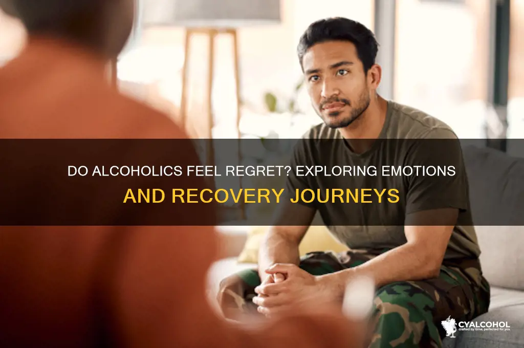 Do Alcoholics Feel Regret? Exploring Emotions And Recovery Journeys ...