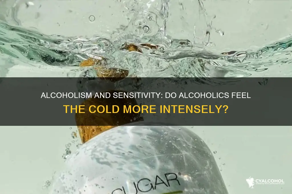 Alcoholism And Sensitivity: Do Alcoholics Feel The Cold More Intensely ...