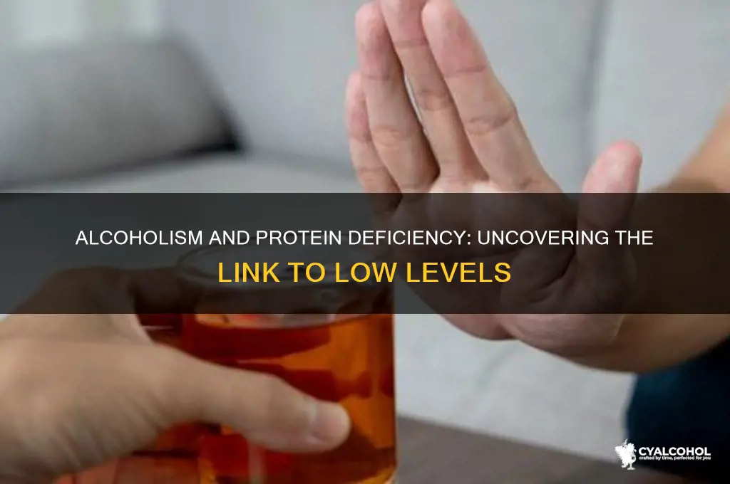 Alcoholism And Protein Deficiency: Uncovering The Link To Low Levels ...