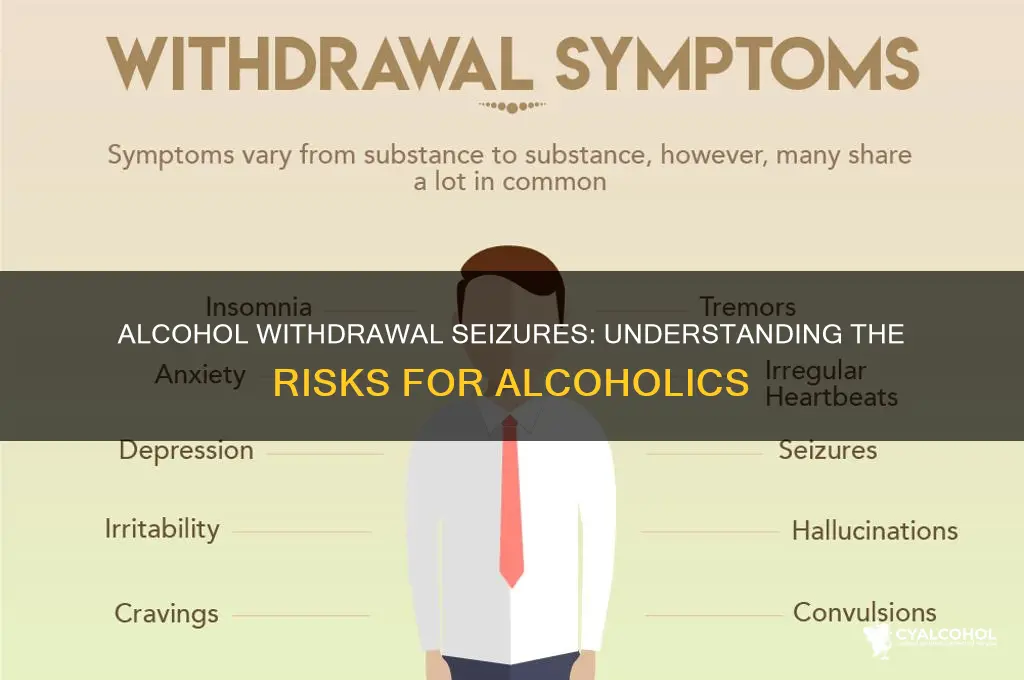 Alcohol Withdrawal Seizures: Understanding The Risks For Alcoholics ...