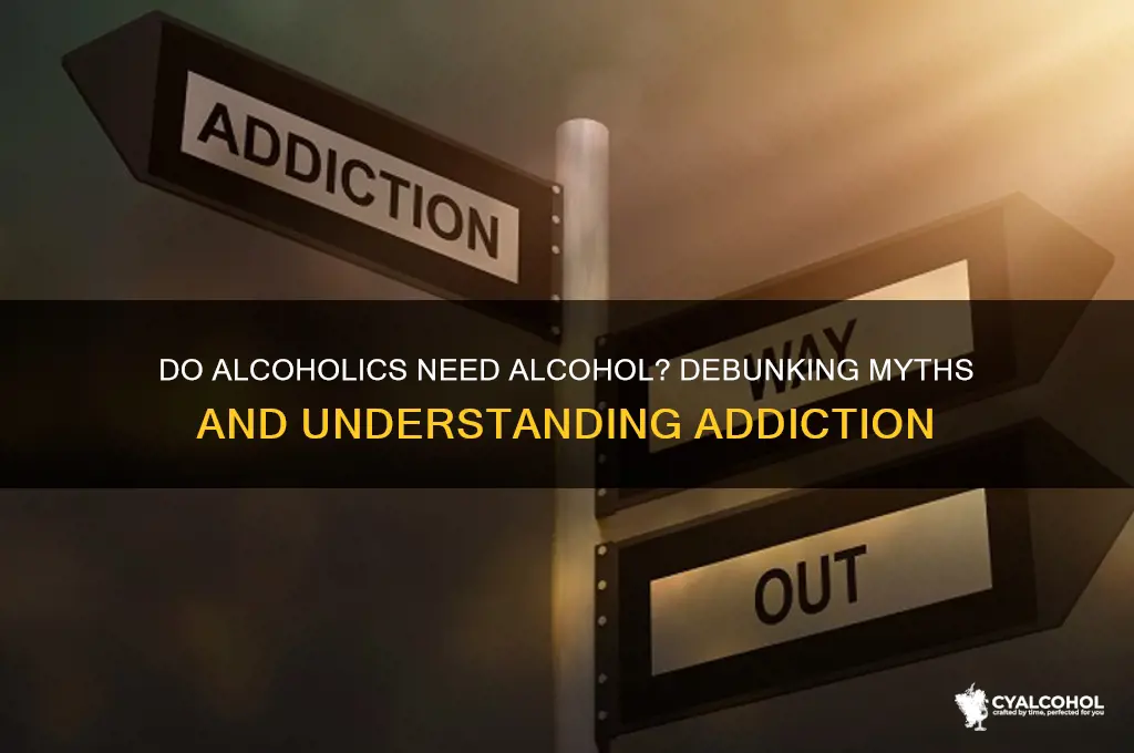 Do Alcoholics Need Alcohol? Debunking Myths And Understanding Addiction ...