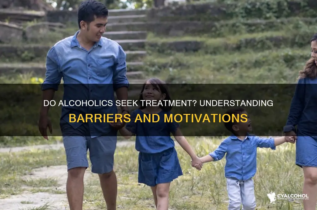 Do Alcoholics Seek Treatment? Understanding Barriers And Motivations ...