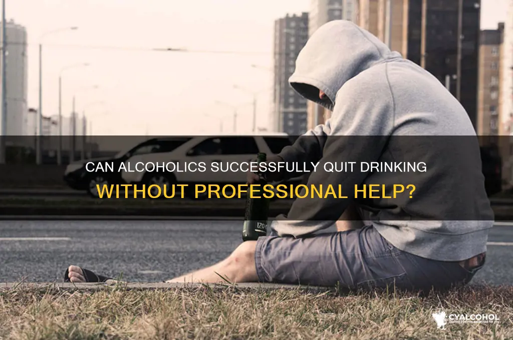 Can Alcoholics Successfully Quit Drinking Without Professional Help ...