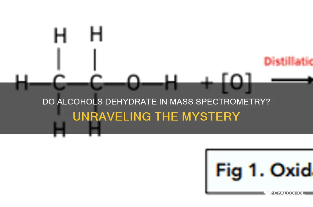 Do Alcohols Dehydrate In Mass Spectrometry? Unraveling The Mystery ...