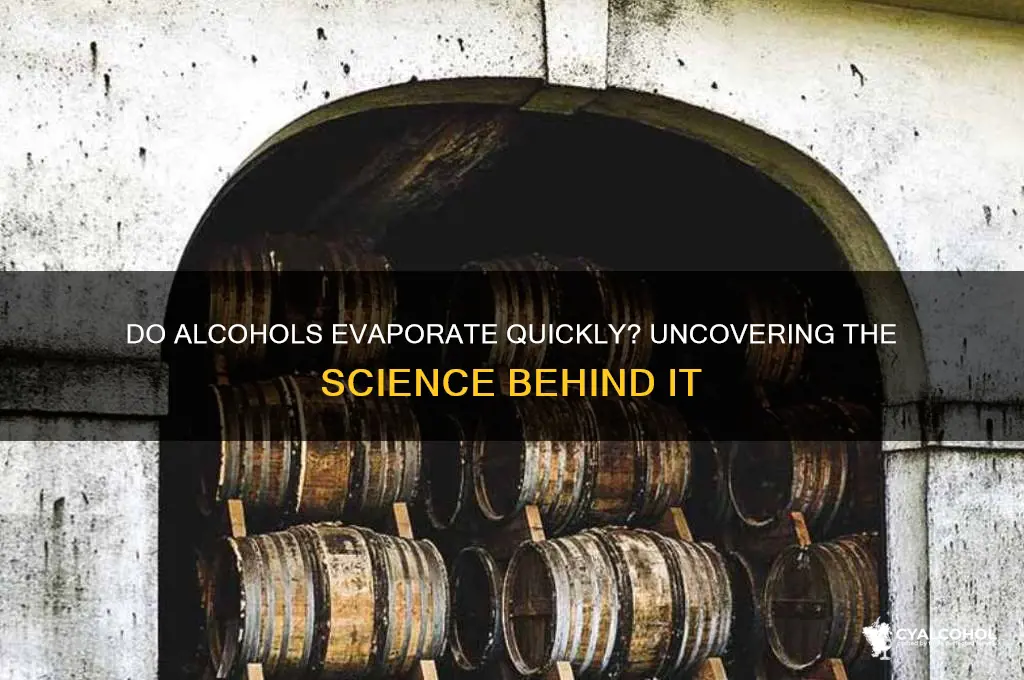 Do Alcohols Evaporate Quickly? Uncovering The Science Behind It | CyAlcohol