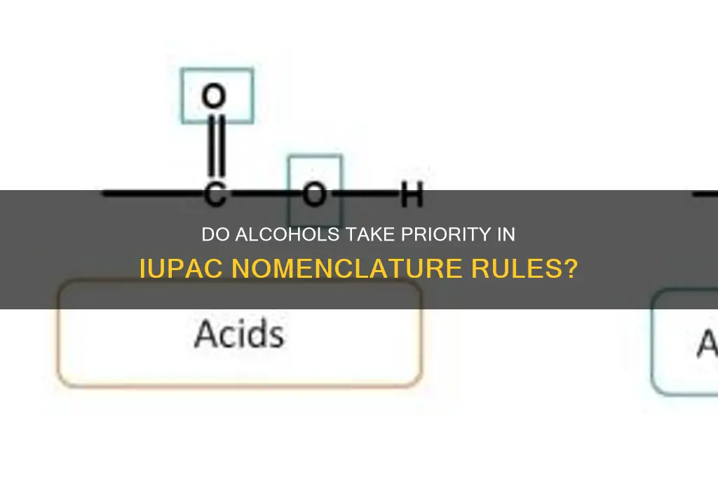 Do Alcohols Take Priority In Iupac Nomenclature Rules? | CyAlcohol