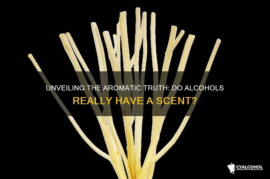 Unveiling The Aromatic Truth: Do Alcohols Really Have A Scent? | CyAlcohol