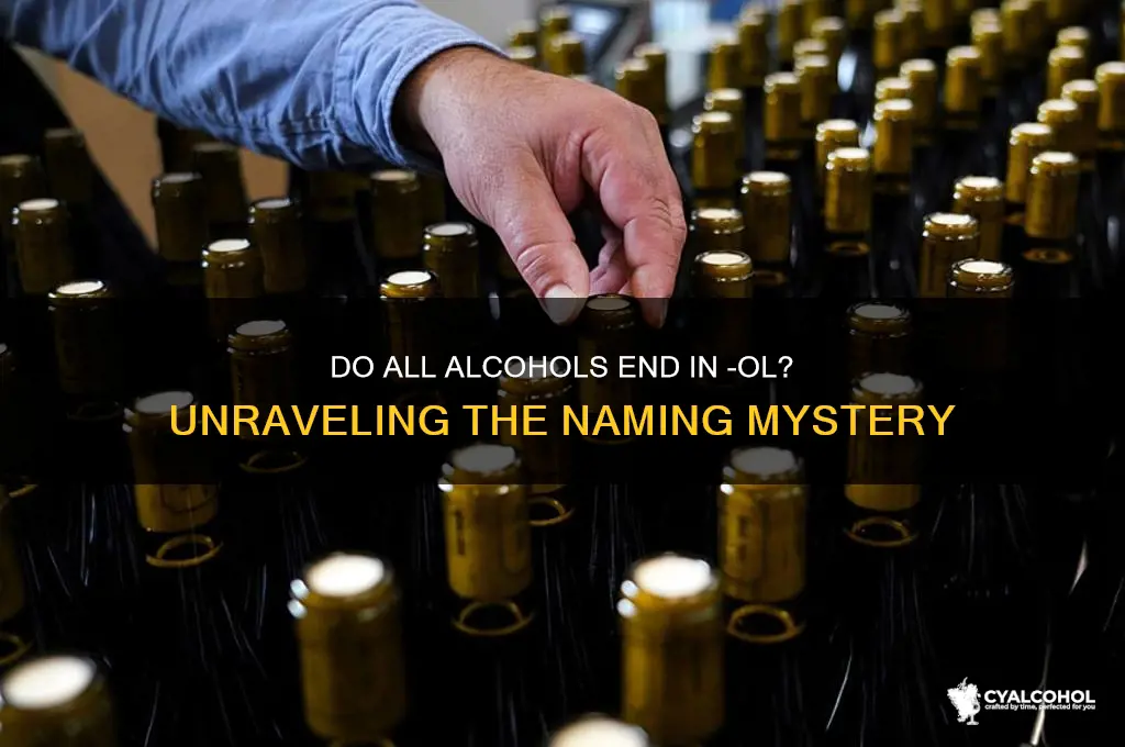 Do All Alcohols End In -Ol? Unraveling The Naming Mystery | CyAlcohol