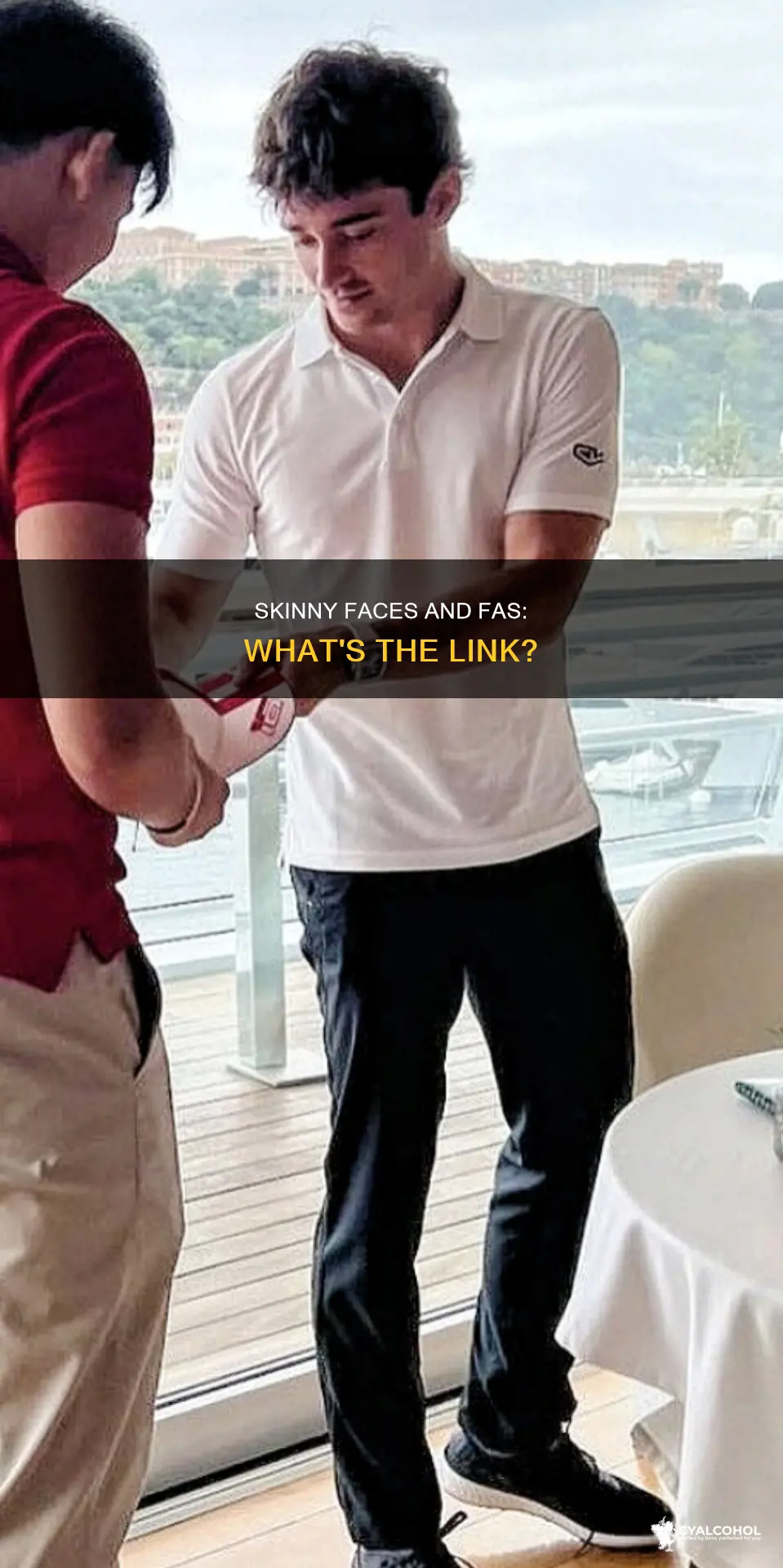 Skinny Faces And Fas: What's The Link? | CyAlcohol