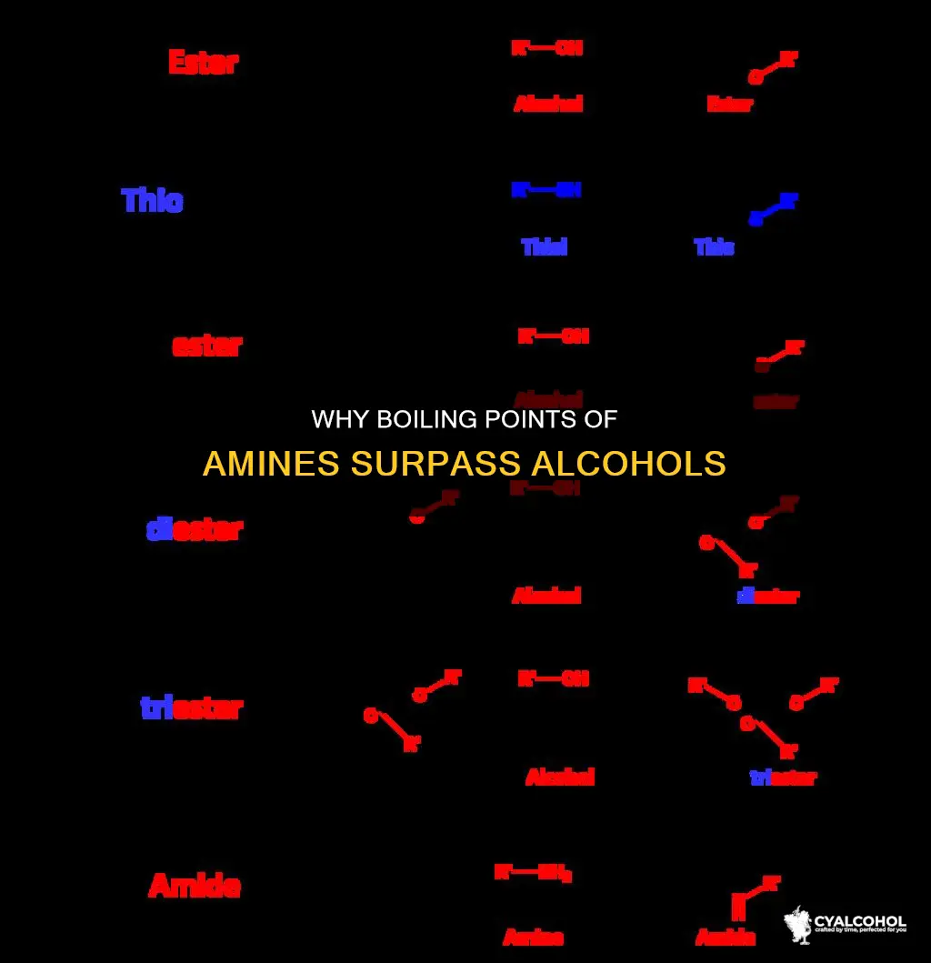 Why Boiling Points Of Amines Surpass Alcohols | CyAlcohol