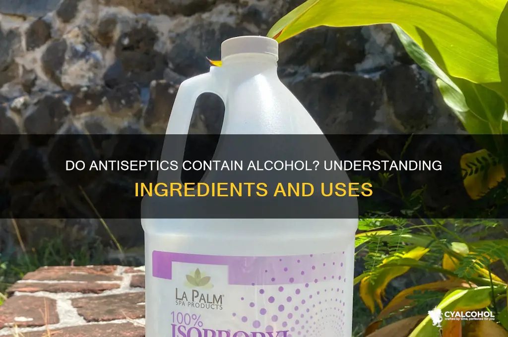 Do Antiseptics Contain Alcohol? Understanding Ingredients And Uses ...