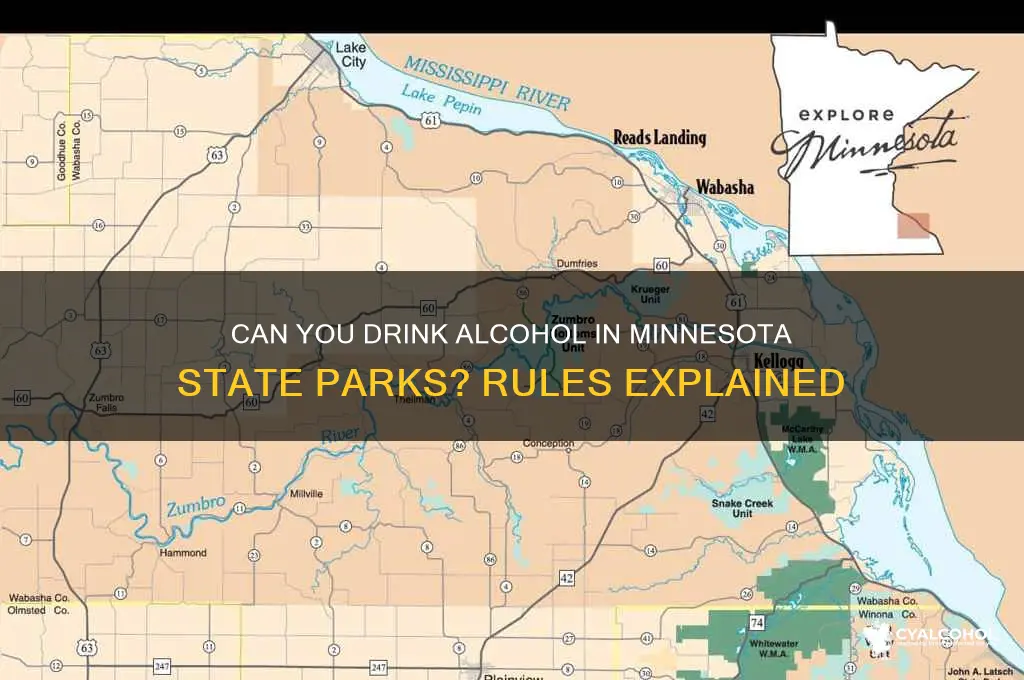 Can You Drink Alcohol In Minnesota State Parks? Rules Explained | CyAlcohol